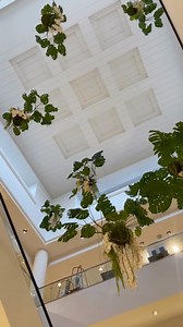 123K views · 167 reactions | One of the most challenging installations to date …. @neimanmarcuscoralgables was not just a challenge but such an opportunity to innovate and explore the possibilities of design and creative process. Putting the challenging part aside, this was one of the most rewarding projects our team has done. It was a definite team effort and another one for the books. What do you think ? Let us know below  | cfadesigngroup | Facebook