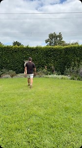 20K views · 322 reactions | GARDEN WALK THROUGH - designed and planted in 2016 - 18 this garden looks beautiful year round with its combination of evergreen hedges and long flowering perennials. #andrewstark #andrewstarkgardens #andrewstarkgardendesign #gardendesign #gardendesignmelbourne #hedges #topiary #pruning #gardenreno #gardenrenovation #gardenlovers #perennials #perwnnialgatdens #pleached #pleachedtrees #gardenwalk | Andrew Stark. Garden Design | Facebook