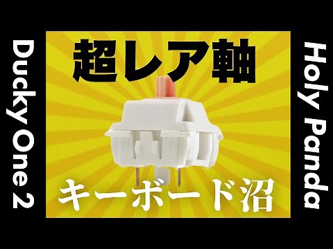【超レア軸】「Ducky One 2 mini」を分解！憧れの「Holy Panda」軸へ【キーボード沼】