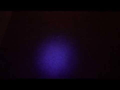 Why are there still pet stains on my carpet after cleaning? Black light detection!