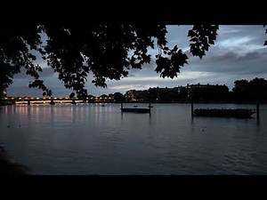Bats at dusk in Wandsworth Park