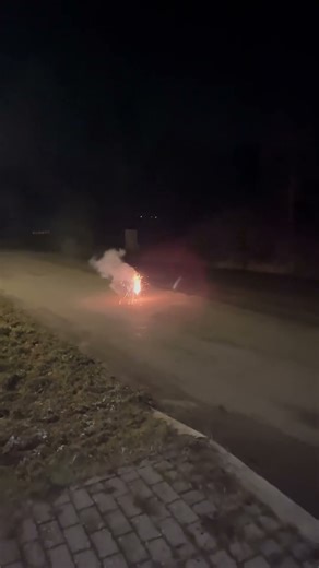 Gold Thunder 🌩️👑🧨#feuerwerk #fireworks #pyro #f4 #silvesterfeuerwerk #pyrotechnics #pyrotechnik