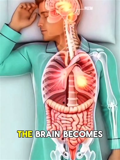 Why Nightfall Happens 😴 | The Real Science Behind It(3D Animation) #nightfall #menshealth #bodyfacts #healthawareness #medicalscience