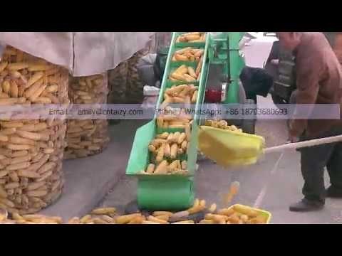 6T/H large capacity corn sheller maize thresher machine with conveyor