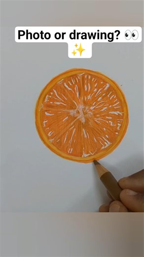 Realistic orange slice drawing🍊✏️ #Shorts #art #trending #drawing #shortsfeed #soniartflow #ytshorts