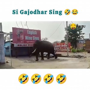 498K views · 14K reactions | Si Gajodhar Sing On Duty 藍藍 Animals...