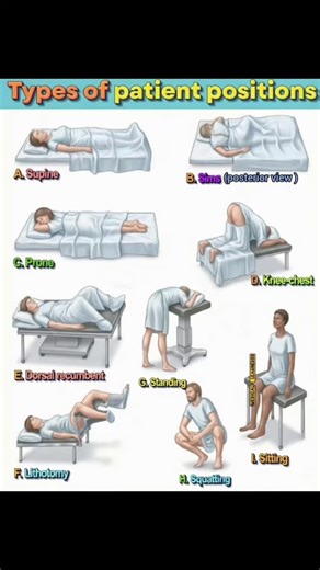 𝑵𝒖𝒓𝒔𝒊𝒏𝒈 𝑺𝒕𝒖𝒅𝒆𝒏𝒕𝒔 on Instagram: "Type of patients position #bscnursing #nursing #medical #hospital #follow #doctor #mbbsstudent #neetaspirants"
