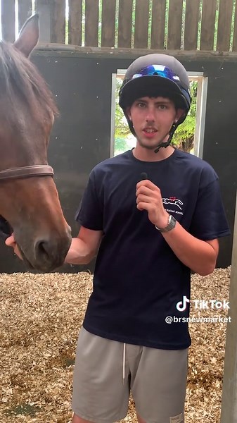 Foundation Course in Equestrian Skills: Join Us!