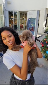 Using Xmas sympathy to get her number 🫶🏾🤦🏾‍♂️🤣 | Gerald Huston