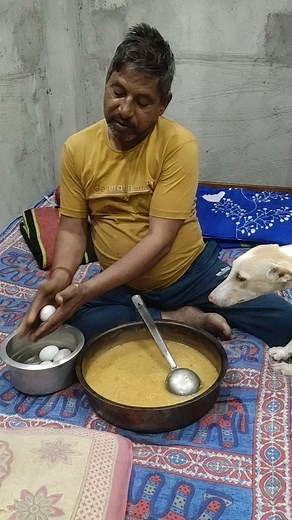 Street dog eating night food 🥑🥝 #doghelps #dogfood #dogs #doghelp #dogsfever #dogsofinstagram #doglife #dogoftheday | Lokeshlife