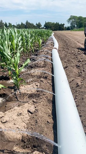 Installing Pollypipe Irrigation at Laura Farms