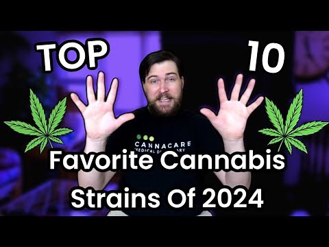 My Top 10 Favorite Cannabis Strains As Of 2024!