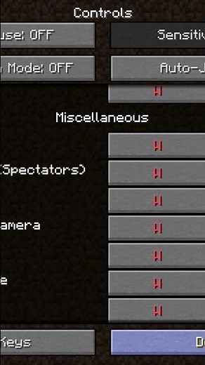 What if you bind everything to one key in Minecraft? #minecraft #minecraft #shorts