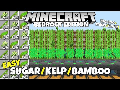 Minecraft Bedrock: EASY Sugarcane/Bamboo/Kelp Farm! 180,000 Items/Hour Tutorial! MCPE Xbox PC Ps4