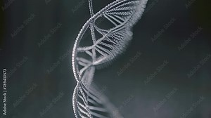 Video animation of metallic representation of a DNA double helix. DNA strands are depicted with a sheen, suggesting a three-dimensional model.