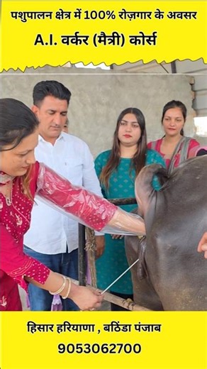 Artificial Insemination Course | Learn AI Technique in Cattle | Dairy Farming Skill Development |