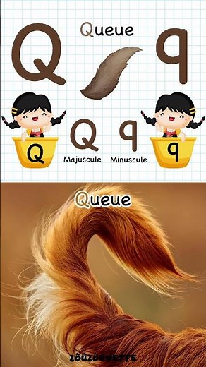 📚 Let's learn the letter Q! | Alphabet for Kids | Words that start with Q | Zouzounette