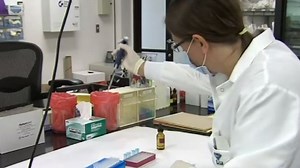 Baby Your Baby: Prenatal Screening Tests