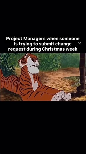 Joe on Instagram: "#projectmanager #projectmanagement #project #manager #pm"