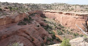 Devils Canyon D5 Trail