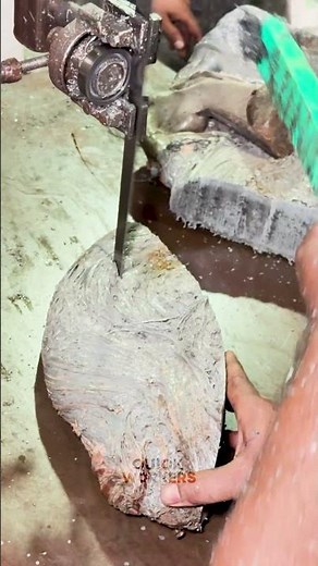 Plastic Recycling Process – From Waste to New Products!