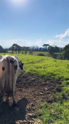 Camila Mensor on Instagram: "Deixe sua opinião sobre! Me segue para mais vídeos 🫡"