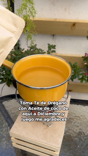 4.7M views · 52K reactions |  De aquí a diciembre, muchos preparan té de orégano y le agregan aceite de coco como parte de su rutina natural. Una mezcla cálida que apoya la digestión, las defensas y la respiración. Pruébalo y cuéntame cómo te va ✨  oreganoorganico.com #ORE #TéDeOrégano #AceiteDeCoco | ORE Orégano Orgánico | Facebook