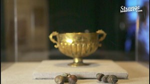 Heirs Reveal Plans for Treasure-Filled Shipwreck: Strange Inheritance Season 2