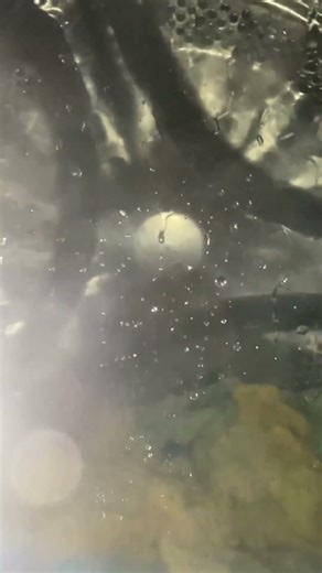 My new 10KG LG front load washing machine