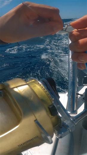 69 reactions | Screaming reels. Screaming thrills. Cape Town offshore...