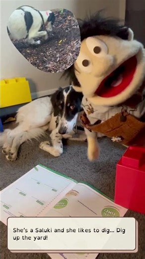 Bobby and Sasha's Core Values