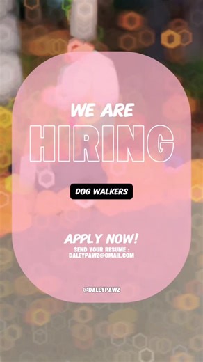 DALEYPAWZ | CT Pet Care & Dog Walking on Instagram: "Are you passionate about animals and love spending time outdoors? DaleyPawz, a leading dog walking and pet care service based in West Hartford. We are looking for responsible, caring, and dedicated animal lovers to join our team! ⸻ Responsibilities • Safely walk dogs of various breeds, sizes, and temperaments. • Follow each client’s instructions regarding pet care, feeding, and exercise routines. • Ensure every dog receives proper exercise, fr