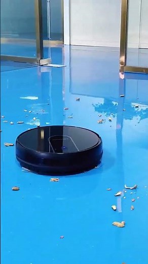 Simba sweeping robot （2）