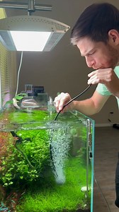 240K views · 1.4K reactions | No-Cost co2 injection! #plants #aquarium | Trip Aquarium | Facebook