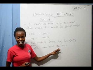 Grade 1 - Environmental Activities (Sound )