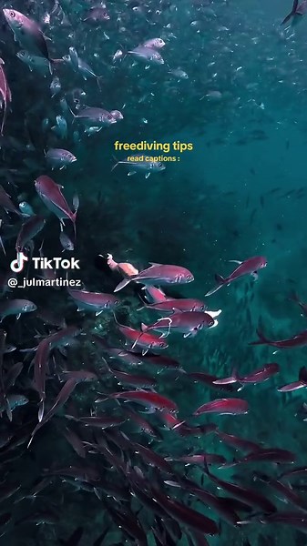 Essential Freediving Techniques for Beginners