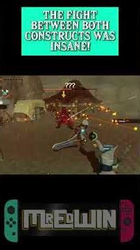 This Fight Gives me Link VS Dark Link Vibes! #shorts #zelda #hyrulewarriorsageofimprisonment #gaming