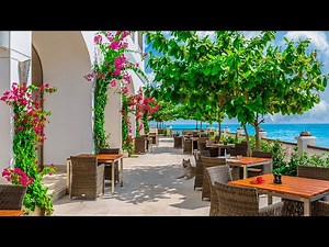 Seaside Outdoor Coffee Shop Ambience - Bossa Nova Music, Smooth Jazz, Hiding Shiba, Ocean Wave Sound