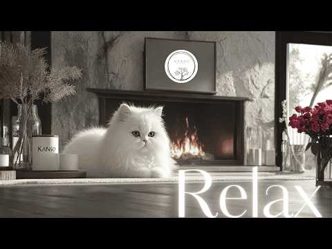 Nocturne Piano & Cozy Cat 🌙 Relax Now for Healing Emotions #relaxingmusic #relaxingpiano