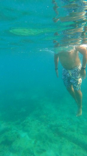 Lion fish getting Mamitas. Lion fish are an imagine species. We're making an eye on this little bugger 😏 #snorkel #lionfish . . . . . #paddleboarding #paddlesurf #paddleboard #standuppaddle #standuppaddleboard #playadelcarmen #rivieramaya #tulum #cancun #mexico #supmexico #paddlemexico #visitplaya #visitcancun #visitmexico #rivieramayamx #watersports #gopro #standuppaddle #standuppaddleboarding #aloha #alohapaddleclub #watersports #sup #caribbeansea #activelife #activelifestyle | Aloha Paddlebo