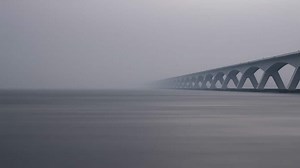 Monster, really? Mysterious long black object in river baffles netizens, but it turned out to be this