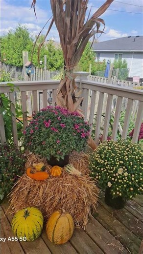 My Fall Display 🍁🌾#shorts #fallflowers #falldecor