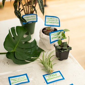 How to organize a Plant Swap like a pro! — HOMESTEAD BROOKLYN