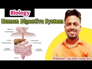 @Human digestive system with diagram fully explained class 10th science biology life process chapter