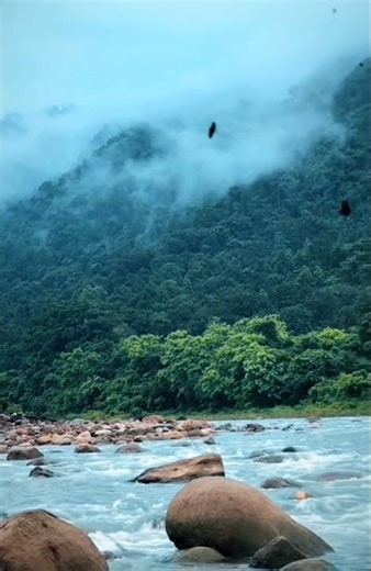 Water Absorbing Rocks#nature#travel#shorts