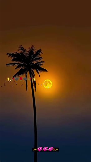 Vidéos de 🌟🇧🇩Sumi Hossain 🌟🇧🇪 (@amarraja241) avec son original - 🌟🇧🇩Sumi Hossain 🌟🇧🇪