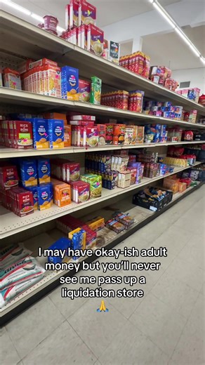 Navigating Liquidation Stores: What to Check Before Buying