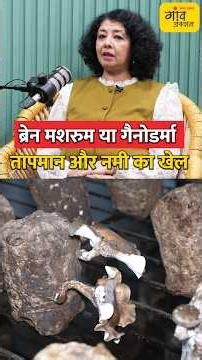 औषधीय मशरूम उगाने का तरीका, उगाओ दिमाग तेज करने वाला 'Brain Mushroom' #shorts