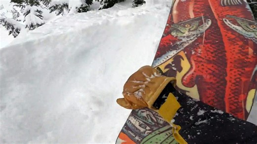 Video of Terrifying Tree-Well Rescue Shows How Lucky Snowboarder Is to be Alive