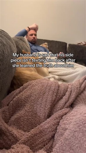 Verify Truth with This App: What You Need to Know